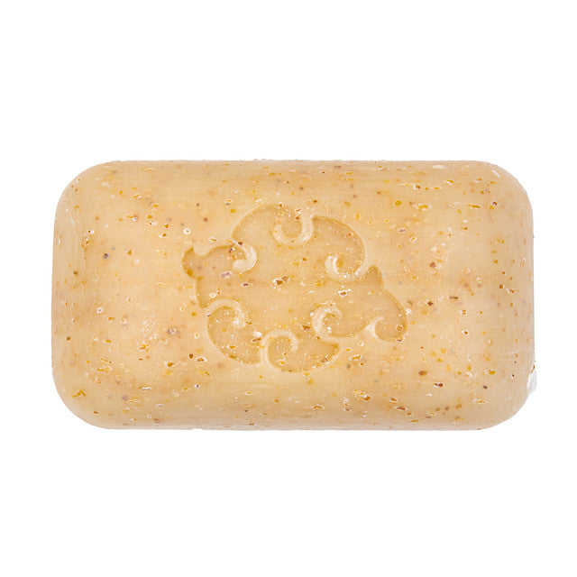 Baudelaire Loofa Spice Soap – Thompson Alchemists